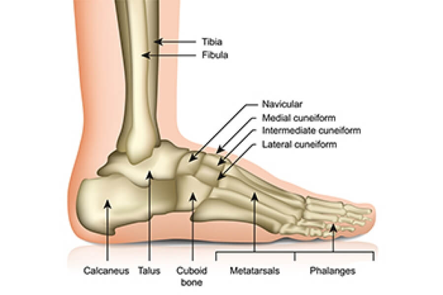 Navicular pain store